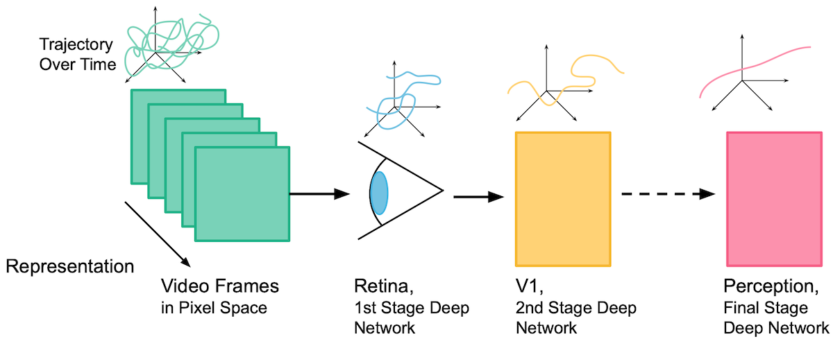 Persci – Perceptual Science Group @ MIT