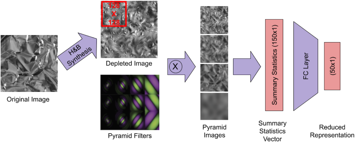 Learning Statistics for Peripheral and Texture Models – Persci