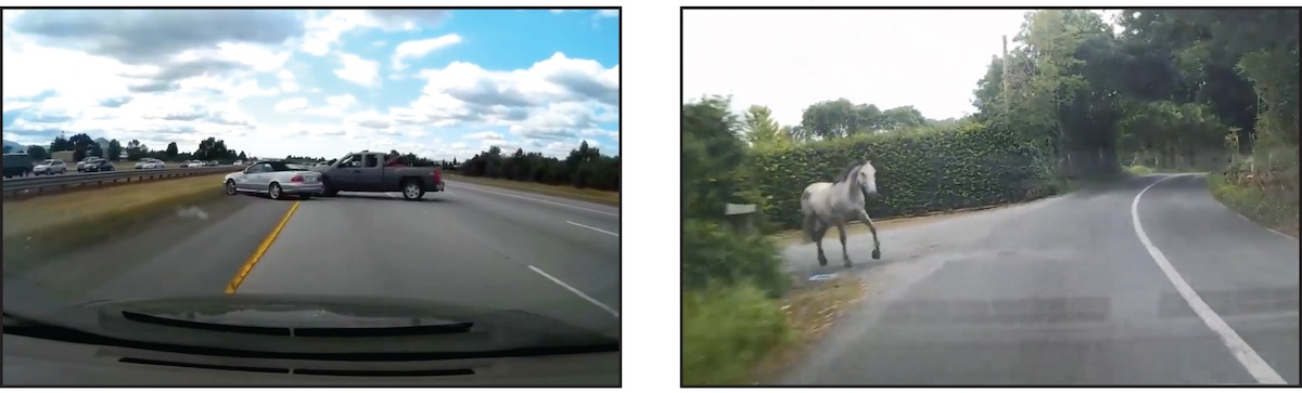 Persci – Perceptual Science Group @ MIT